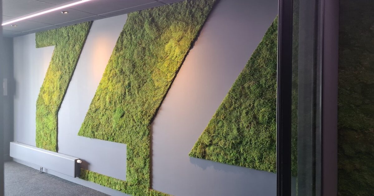 Een sportveld van mos aan de muur als natuurlijke rustgevende ...